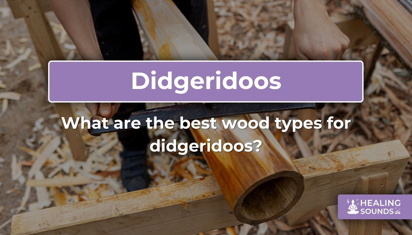 Best Wood Types for Didgeridoos | Authentic Sounds