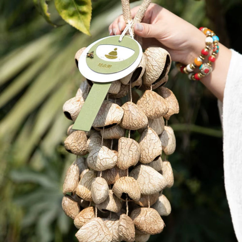 Seed Shell Shakers for healing - Nut African Chimes